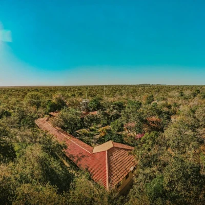 Immersion in the biome - Pousada Trijunção
